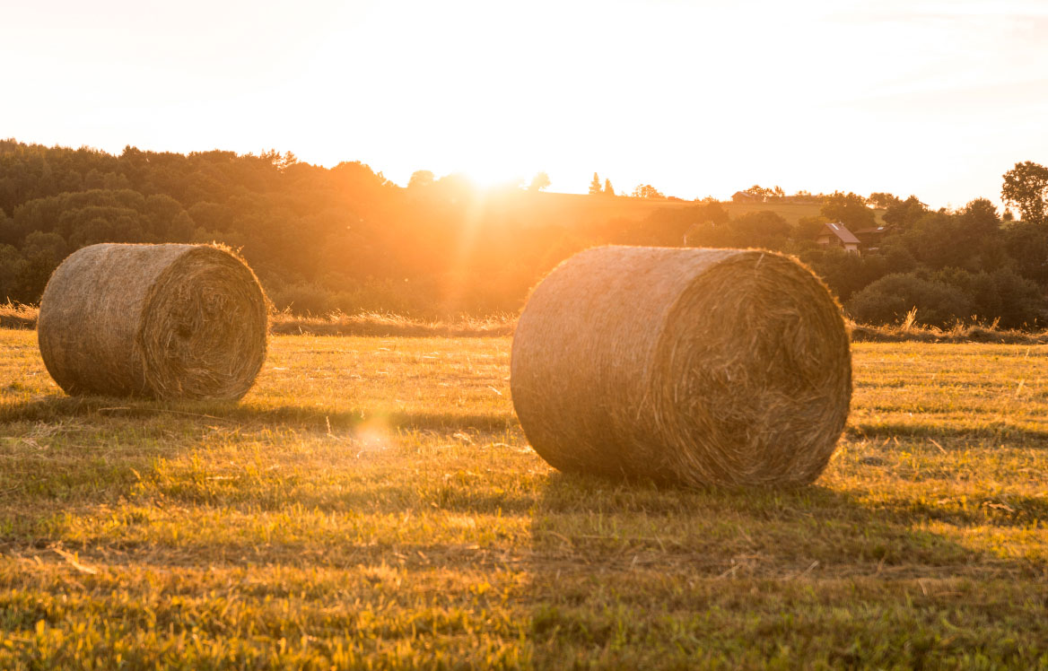 Traditional ways of succession planning are outdated - Baton Valley